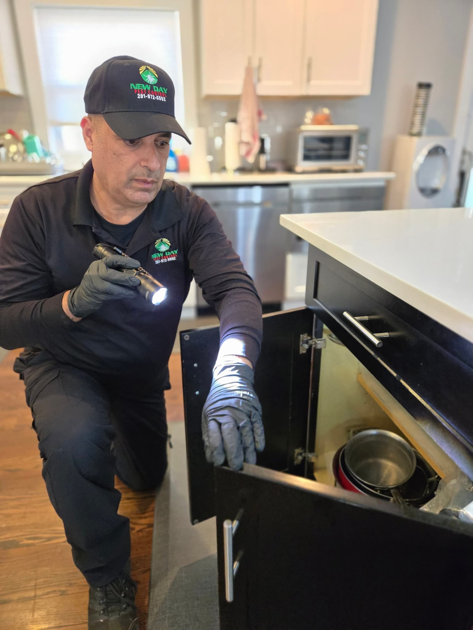 New Day Pest Control – Pest Management Company in New Jersey